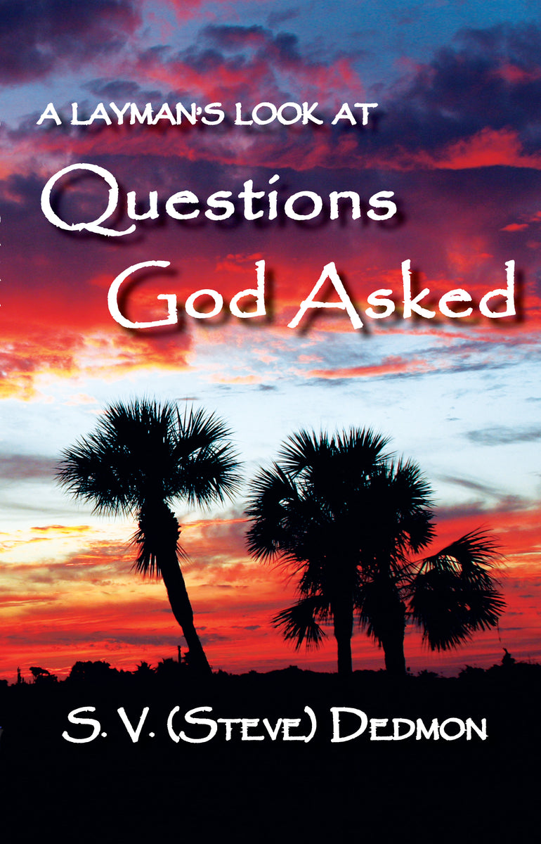A Layman's Look at Questions God Asked – BluewaterPress.com